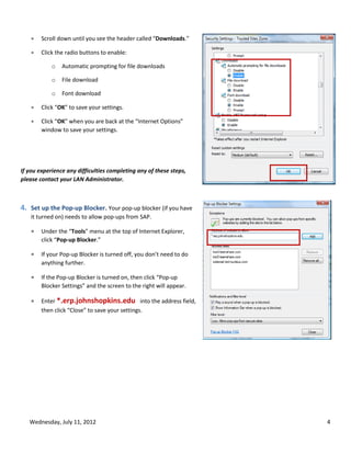SAP and Browser settings- Support | PDF