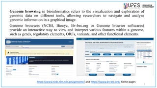 Genome browsing in Bioinformatics.pptx