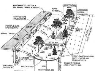 Bioretention Inspection and Maintenance | PDF