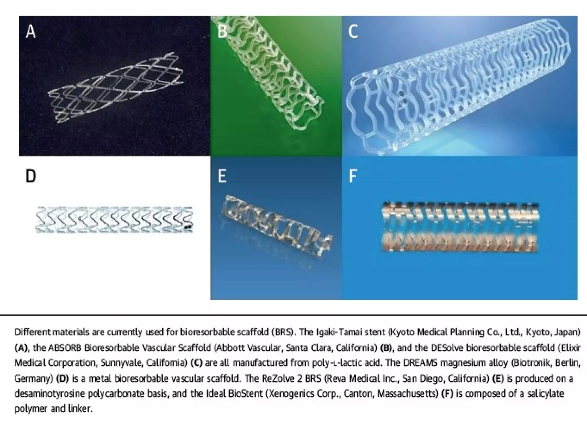 Bioabsorbable Scaffolds | PPT
