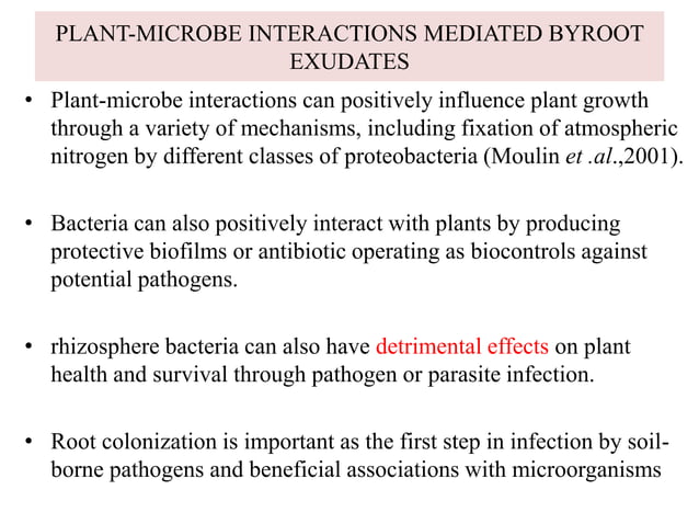 root microbial interaction for crop improvement seminar ppt | PPTX