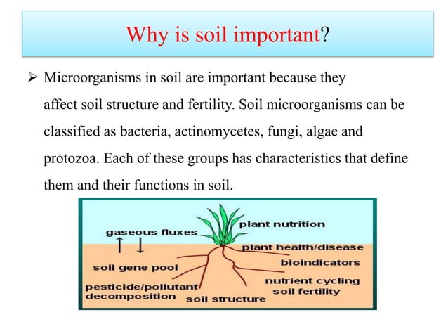 root microbial interaction for crop improvement seminar ppt | PPTX