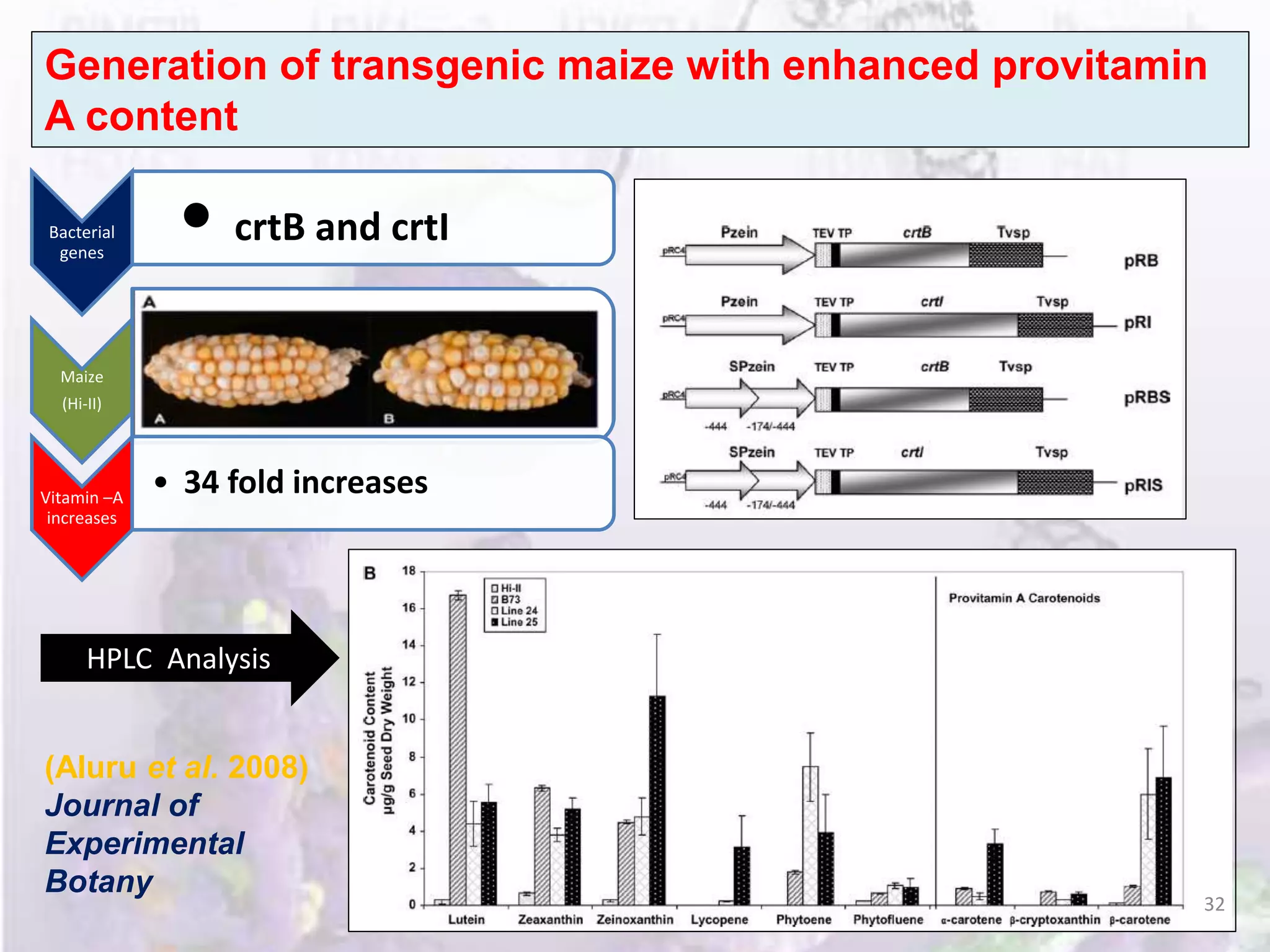 Bio fortification through Genetic Engineering | PPTX