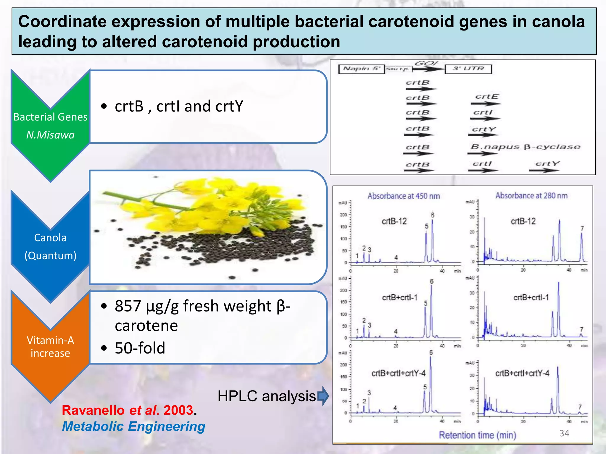 Bio fortification through Genetic Engineering | PPTX