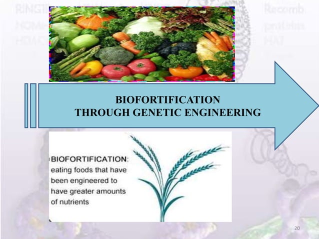 Bio fortification through Genetic Engineering | PPTX