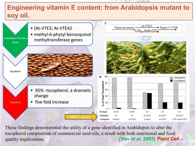 Bio fortification through Genetic Engineering | PPTX