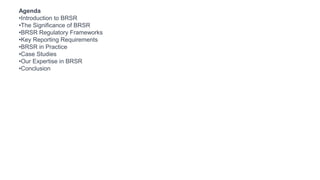 BRSR rep.pptx