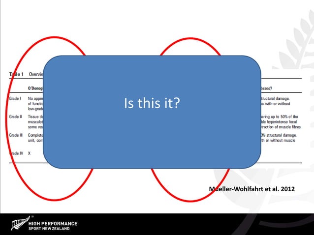 Bruce Hamilton - Classification and Grading of Muscle Injuries | PPT