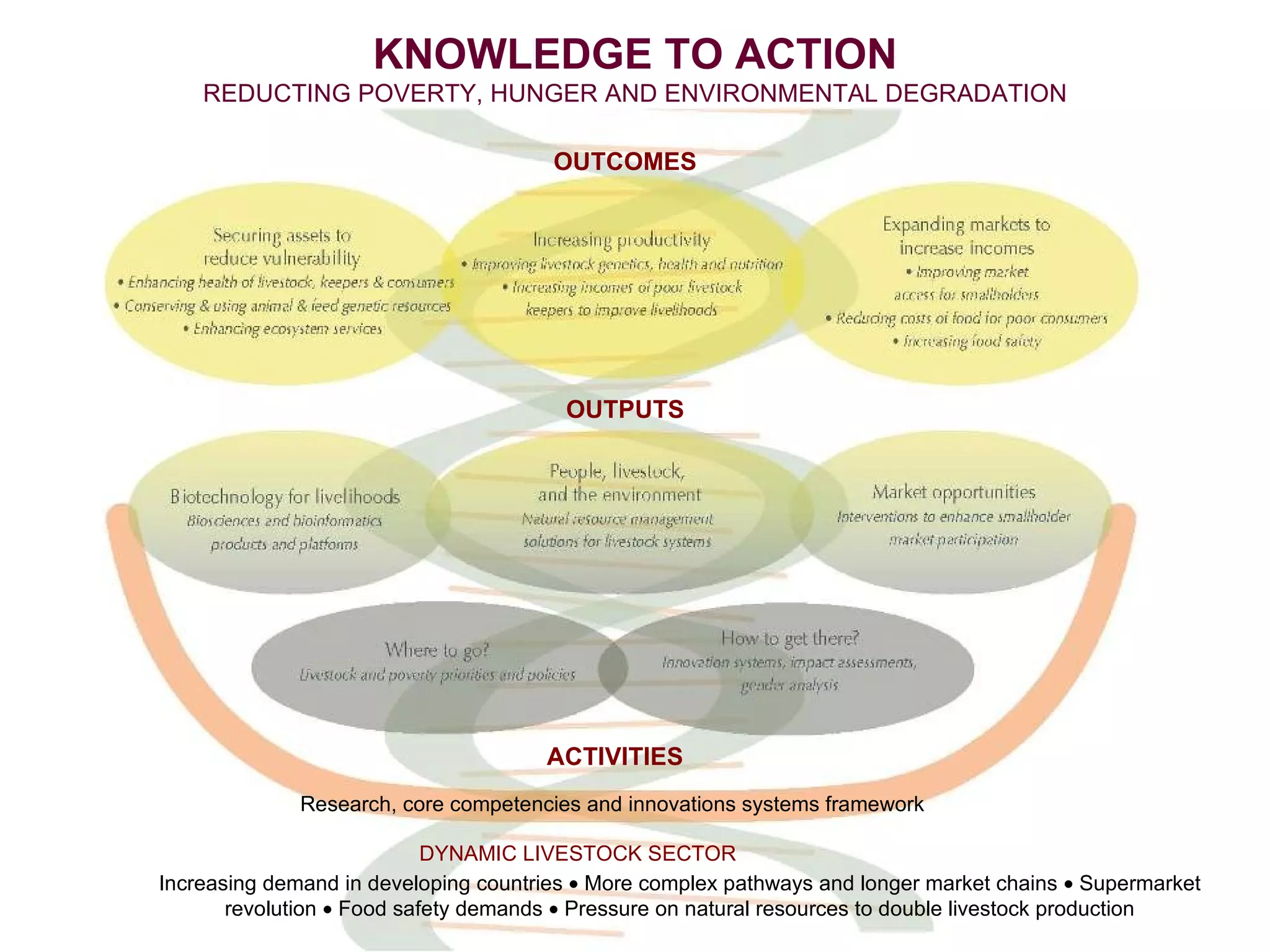 Knowledge to Action: ILRI’s role in pro-poor livestock research for ...