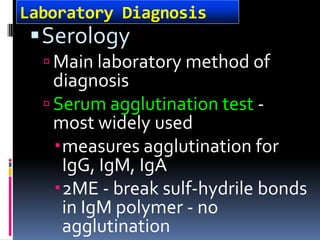 Brucella mahadi ppt | PPT