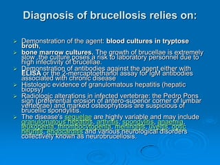 Brucella | PPT