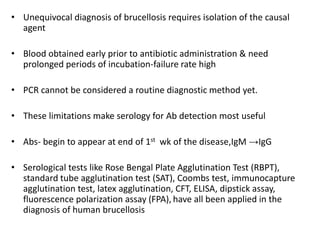 Brucella | PPTX