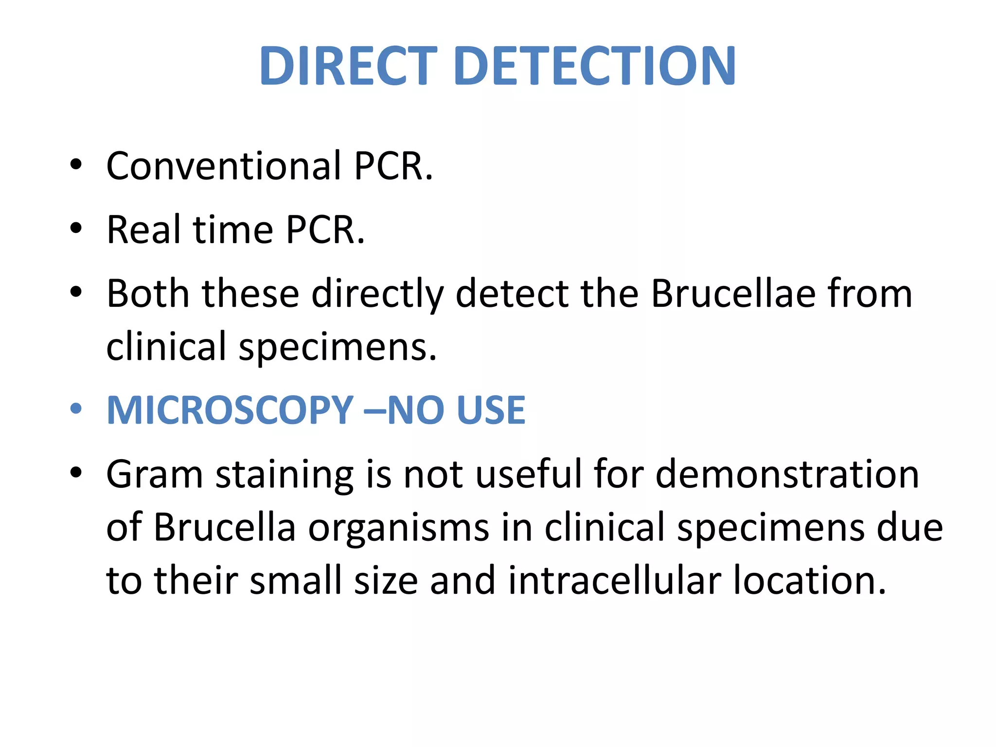 Brucella | PPTX