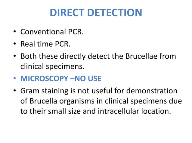 Brucella | PPTX