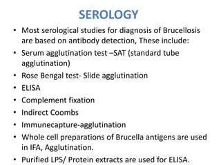 Brucella | PPTX