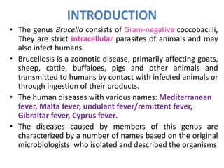 brucella-170124093449 (1).pptxbrucella-170124093449 (1).pptx
