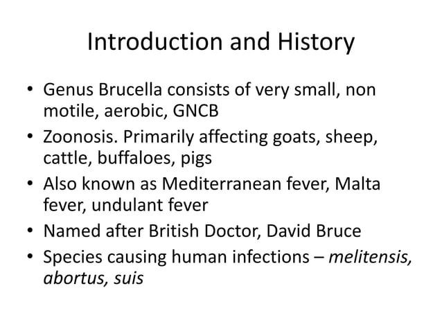 Brucella | PPTX