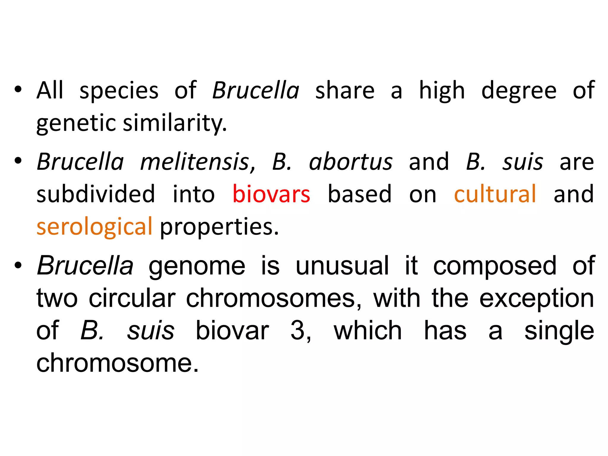 Brucella.pptx