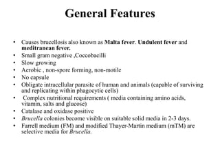 BRUCELLA.pptx