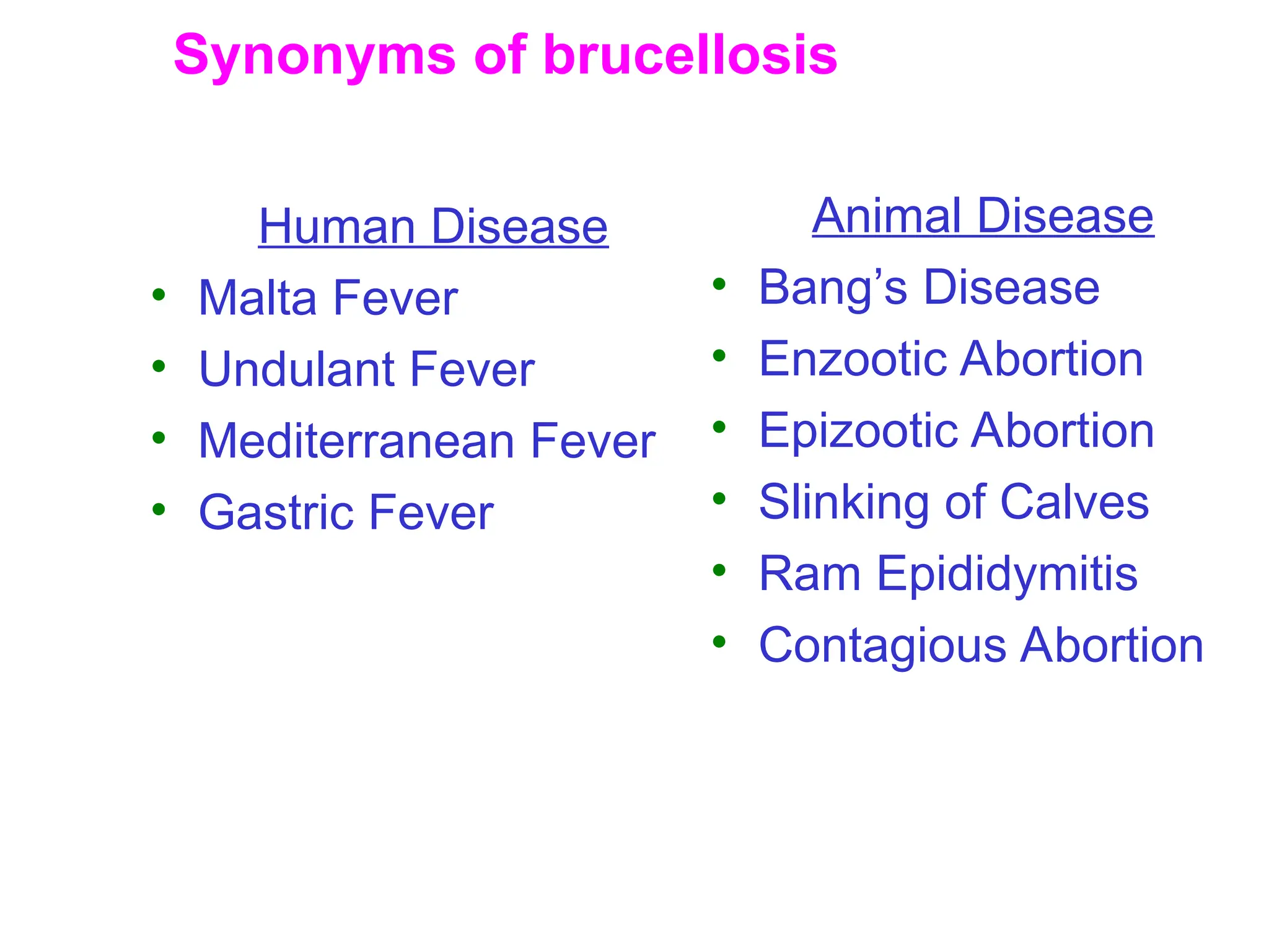 Bacteriology veterinary disease Brucella.ppt