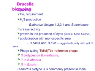 Bacteriology veterinary disease Brucella.ppt