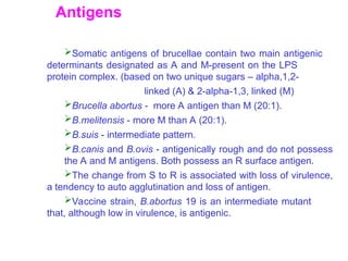 Bacteriology veterinary disease Brucella.ppt