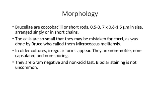 brucella bacteria ppt prepared by baranidharan | PPT