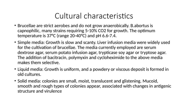 brucella bacteria ppt prepared by baranidharan | PPT