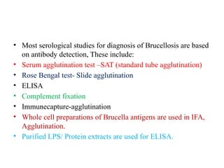 Brucella species of veterinary importance | PPTX