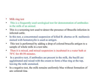 Brucella species of veterinary importance | PPT