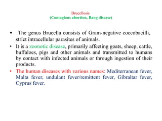 Brucella species of veterinary importance | PPT