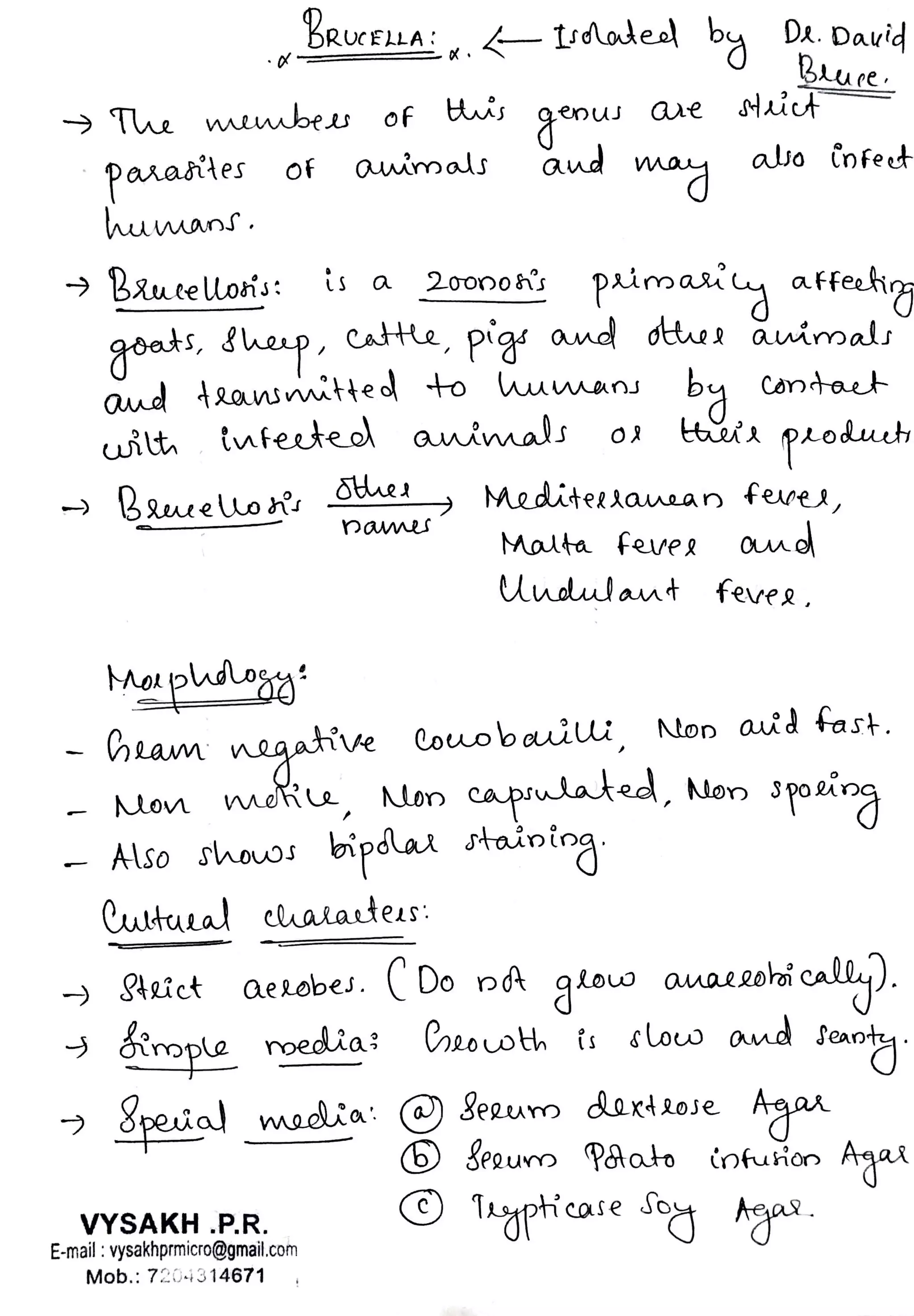 Brucella - www.brainymicrobes.com.pdf