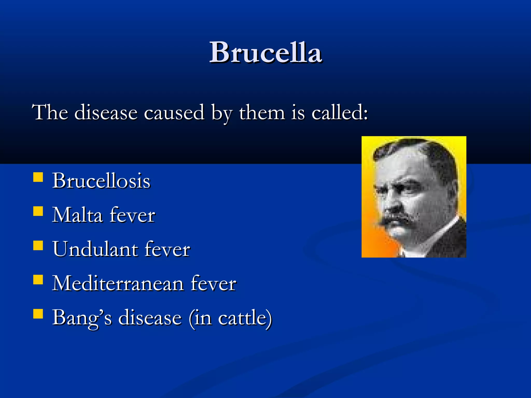 Brucella | PPT