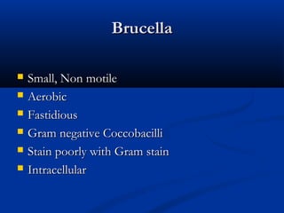 Brucella | PPT