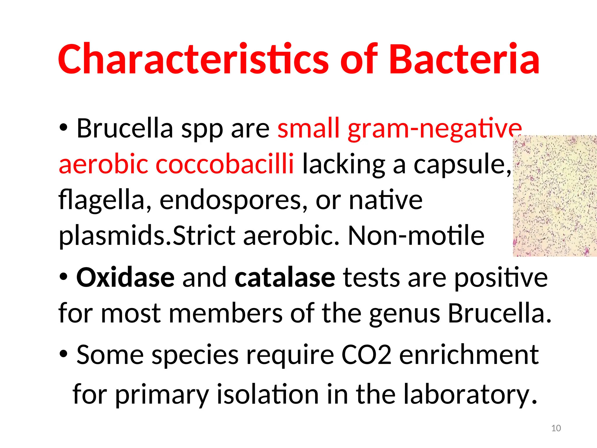 A brief overview of Brucella and Bordetella, focusing on their ...