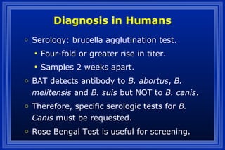 Brucella and brucellosis | PPT