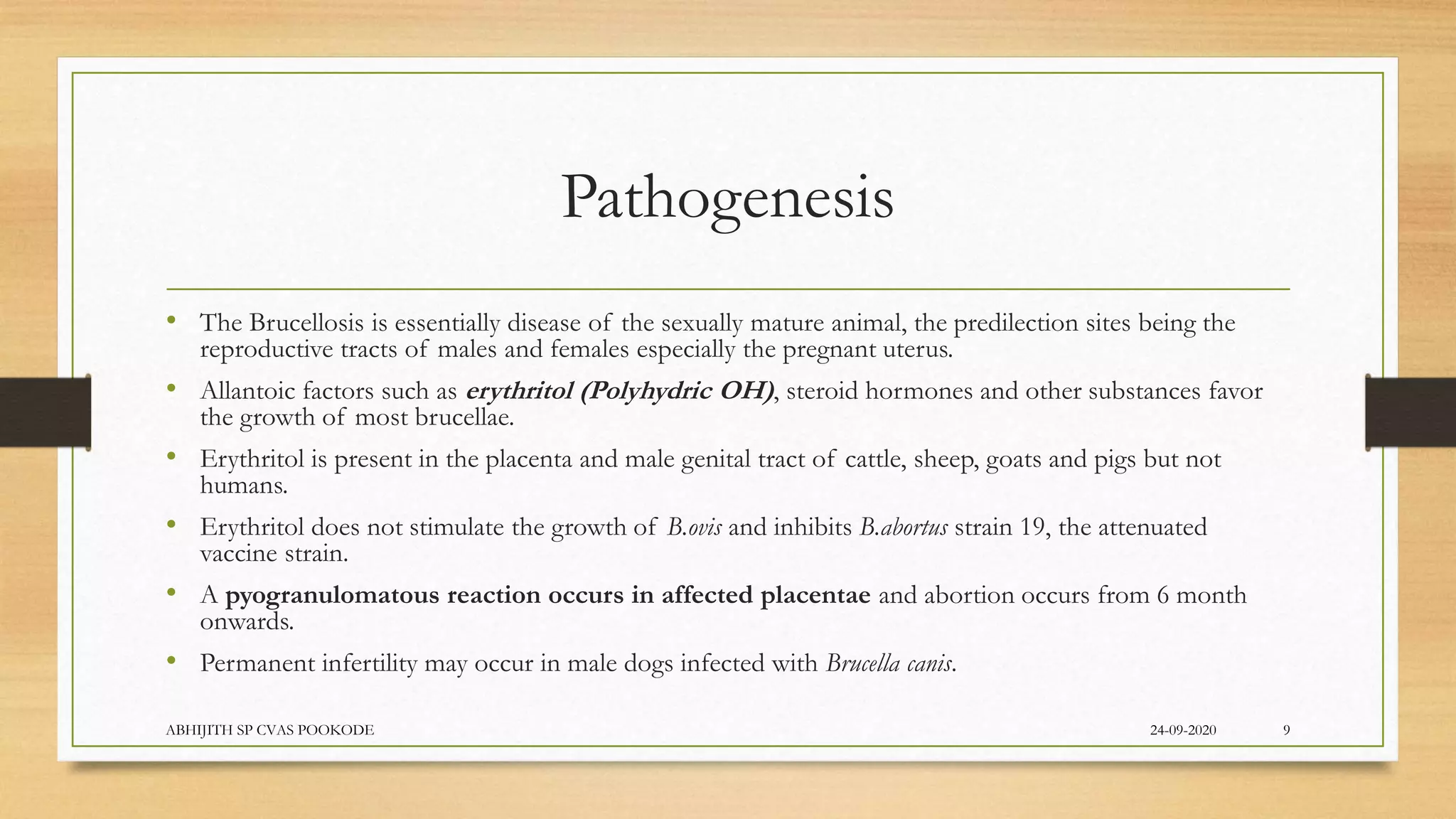 Brucella and brucellosis | PPTX