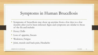 Brucella and brucellosis | PPTX