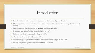 Brucella and brucellosis | PPTX