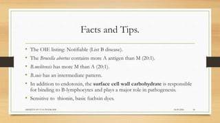 Brucella and brucellosis | PPTX