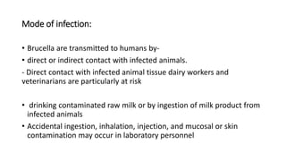 Brucella ankur vashishtha | PPT