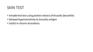 Brucella ankur vashishtha | PPT