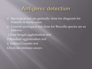 Brucella antigen & | PPTX