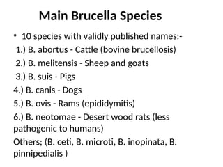 Brucella Details in animals of veterinary Presentation.pptx