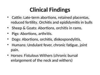 Brucella Details in animals of veterinary Presentation.pptx