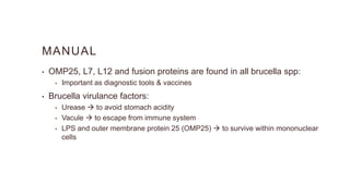 Brucella Serology | PPTX | Pregnancy | Reproductive Health