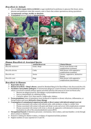 Brucella spp assignment.docx