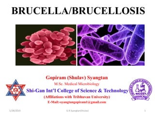 Brucella spp /Brocellosis | PPTX