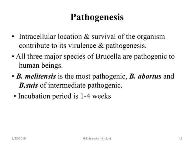 Brucella spp /Brocellosis | PPTX | Infectious Diseases | Diseases and ...
