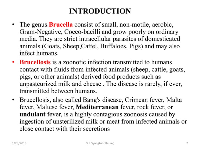 Brucella spp /Brocellosis | PPTX | Infectious Diseases | Diseases and Conditions
